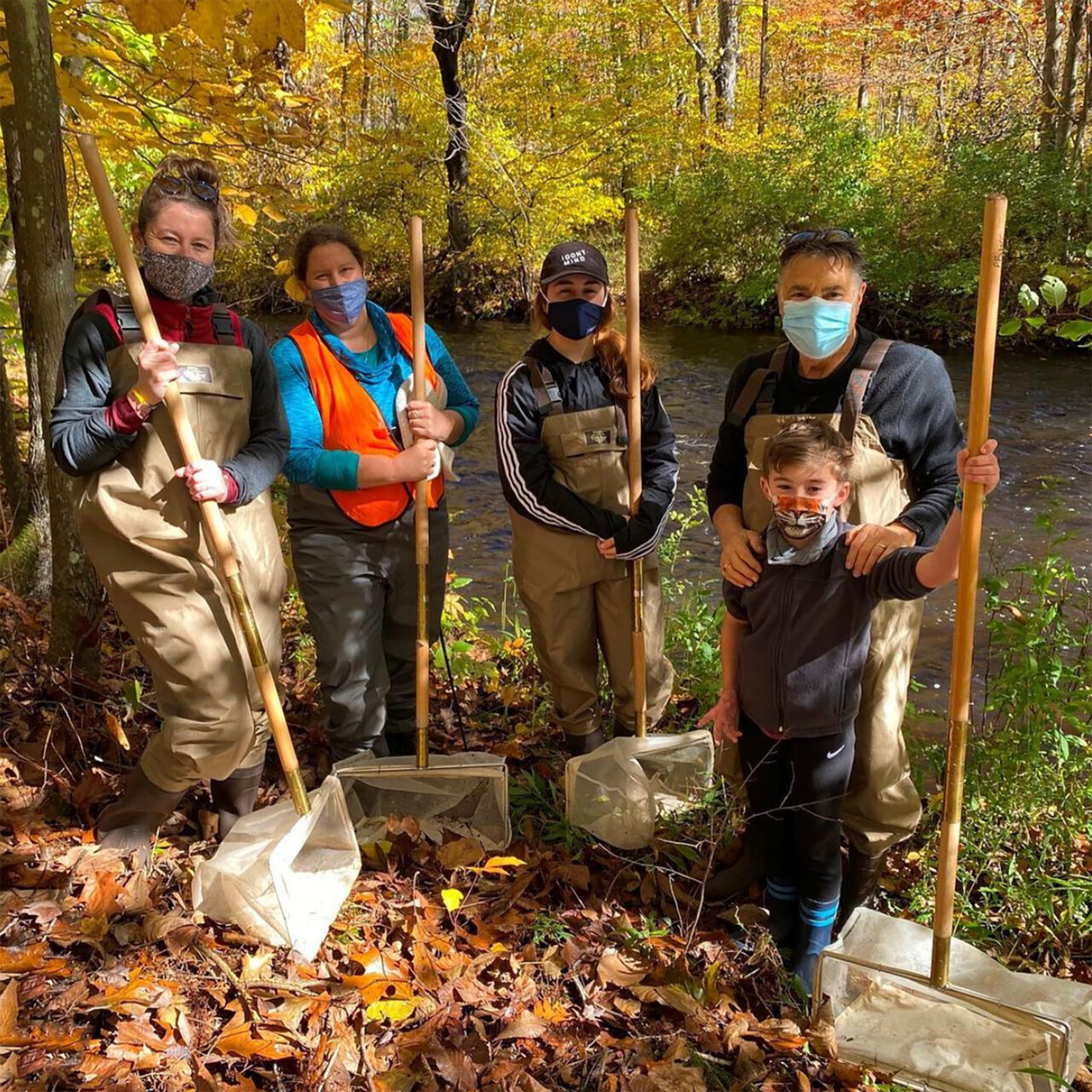 Home - New Morning Market
