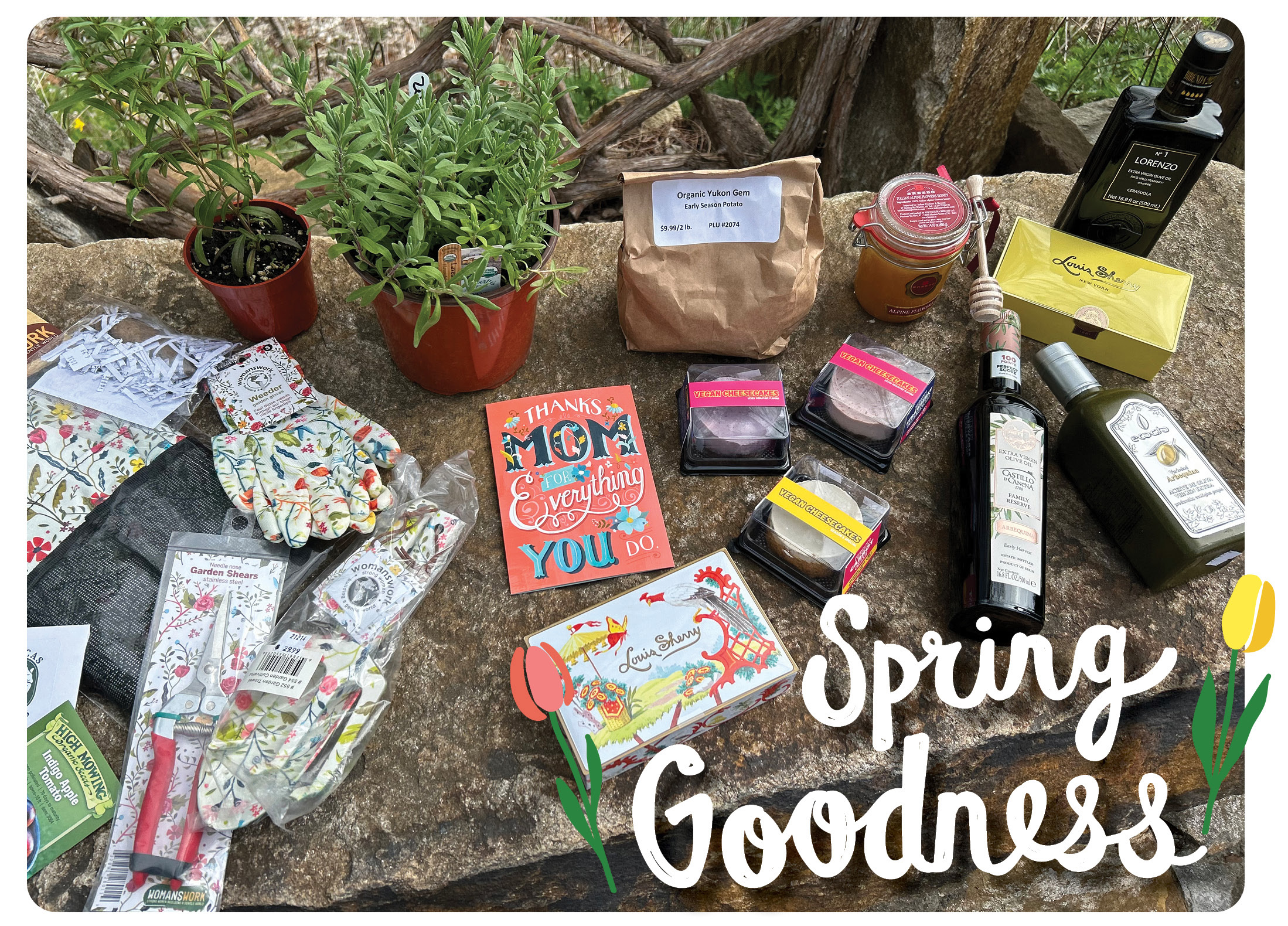 Home - New Morning Market